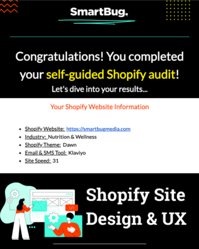 Shopify Store Self-Guided Audit | SmartBug Media